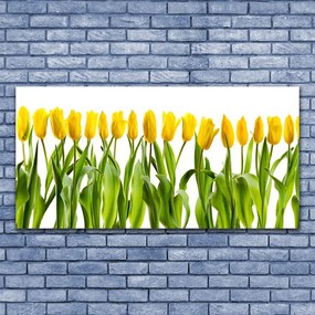 Plexisklo-obraz Tulipány Květiny Příroda 120x60 cm