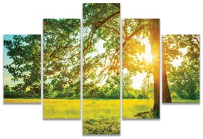 Malvis ® Obraz Strom v ranním slunci Velikost: pětidílné schody - 150x75 cm