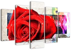Obraz na plátně pětidílný Červená růže Květina Příroda - 100x70 cm