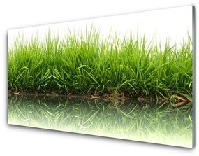 akrylový obraz Tráva Příroda Rostlina 140x70 cm