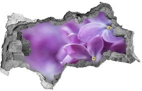 Wallmuralia Samolepící díra na stěnu Květiny šeříku 95x73 cm