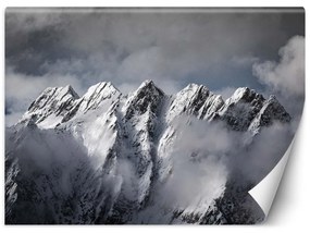 Fototapeta, Hory v zimě - 250x175 cm