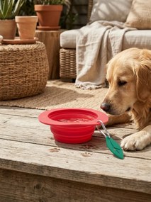 Sinsay - Skládací cestovní miska ve tvaru jablka - červená