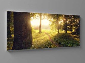 Liox XXL Obraz ranní Úsvit v lese Rozměr: 200 x 100 cm