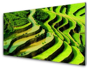 akrylový obraz Pole Rýže Les Umění 100x50 cm