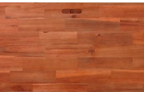 Vyvýšený záhon akáciové dřevo 100 x 100 x 50 cm