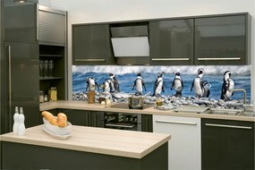 DIMEX | Fototapeta do kuchyně Tučňáci KI-260-112 | 260 x 60 cm | bílá, černá, šedá