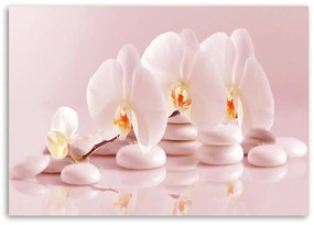 Obraz na plátně Orchidejové květinové zenové lázně - 100x70 cm