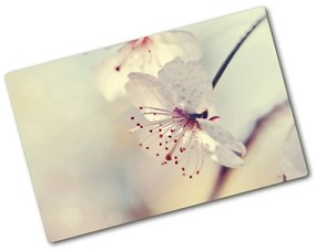 Wallmuralia Deska na krájení skleněná Květ višně 80x52 cm