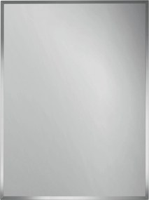 XXXLutz NÁSTĚNNÉ ZRCADLO 45/60/0,3 cm Carryhome - 002757000903