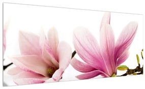 Obraz květu (100x40 cm)
