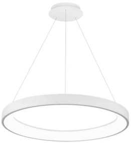 Závěsné LED svítidlo Palnas Dita Barva: Bílá, Velikost: 58cm, Varianta: 3000-6500K Dali
