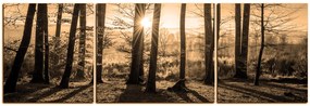 Obraz na plátně - Podzimní ráno v lese - panoráma 5251FC (90x30 cm)