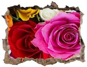 Wallmuralia Samolepící díra na stěnu Barevné růže 95x64 cm