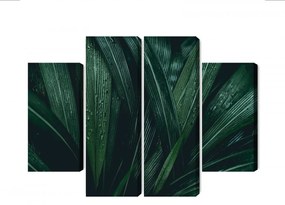 Vícedílný obraz Tmavě Zelené Listy Na Makro Stupnici Nedostatek Nedostatek Přírodní plátno 120x90