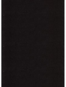 Ayyildiz koberce Kusový koberec Catwalk 2600 Black - 80x150 cm