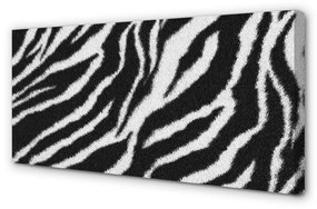 Obrazy na plátně zebra fur 100x50 cm