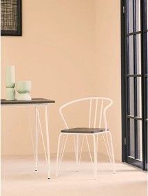 Bílá/v přírodní barvě jídelní židle z jilmového dřeva District – Premier Housewares