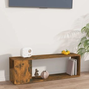 vidaXL TV skříňka 100 x 24 x 32 cm kompozitní dřevo [809167] Barva: kouřový dub