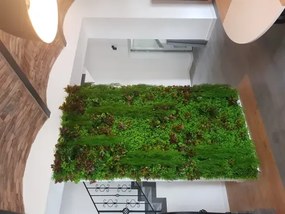 Vertical garden Autumn Leaves