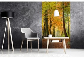 DIMEX | Vliesová fototapeta na zeď Podzimní les MS-2-0099  | 150 x 250 cm | zelená, oranžová, hnědá