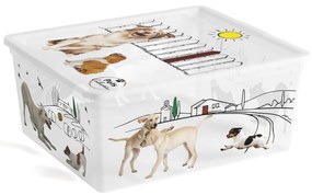 Plastový C Box s víkem M Pets Collection PEJSCI