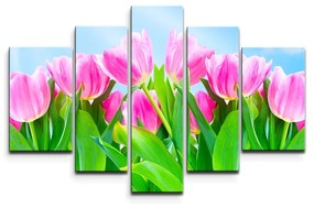 Sablio Obraz - 5-dílný Růžové tulipány - 125x90 cm