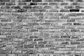 DIMEX | Samolepicí vliesová fototapeta na zeď Šedé cihlové pozadí MA-5-2656 | 375 x 250 cm | bílá, černá
