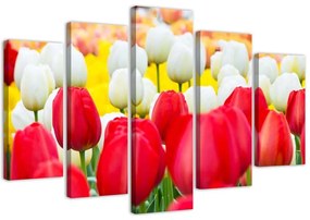 Obraz na plátně pětidílný Tulipán červený bílý - 100x70 cm