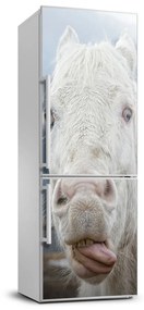 Wallmuralia Foto nálepka na ledničku Šílený bílý kůň 60x180 cm