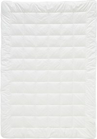 XXXLutz LETNÍ PŘIKRÝVKA, 135/200 cm, polyester, duté vlákno Billerbeck - Přikrývky - 003279010401