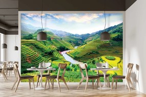 Malvis ® Tapeta Rýžová pole Vietnam Vel. (šířka x výška): 288 x 200 cm