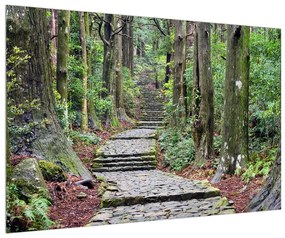 Obraz kamenných schodů v lese (90x60 cm)