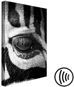 Obraz Zvíře v pruzích (1-dílný) - Pohled na černobílé zebry