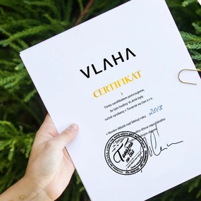 Dubové hodiny VLAHA VCT1022 vyrobené v Čechách s černými ručičkami