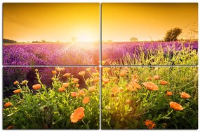 Obraz na plátně - Levandulové pole zalité sluncem 165D (120x80 cm)