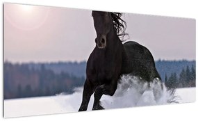 Obraz koně ve sněhu (100x40cm)