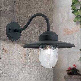 Orion AL 11-1313 - Venkovní nástěnná lampa EDWARD 1xE27/60W/230V IP44 antracit