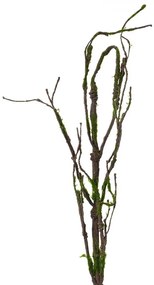 Dekorace hnědá větvička se zeleným mechem - 28*5*130 cm