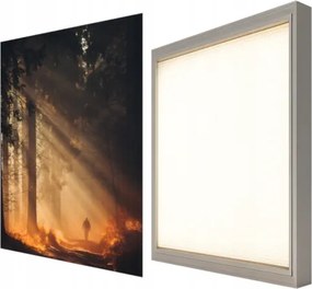 Podsvícený Obraz Setkání Na Stezce rámeček stříbrný Canvas Slim 40x50 Led