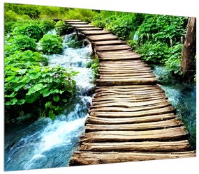 Obraz dřevěného chodníčku přes řeku (70x50 cm), 40 dalších rozměrů