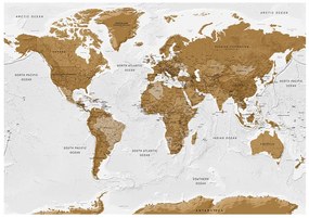 Samolepící fototapeta - Mapa světa: Bílé oceány 196x140