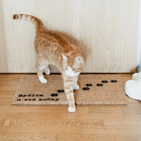 Artsy Doormats Rohožka Bydlím u své kočky, přírodní barva