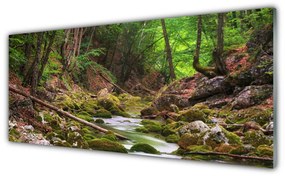 akrylový obraz Les Mech Příroda 125x50 cm