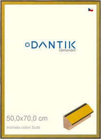 DANTIK rámeček 50x70 | INCLINATA colori žlutá (Plexi Čiré)