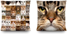 Dekorační foto polštářek Kočky, 45x45cm, CN3615