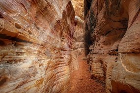 Obraz cestička Grand Canyonem