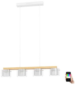 Eglo 900881 - LED RGBW Stmívatelný lustr na lanku PORTICO-Z 4xLED/3,7W/230V 900881