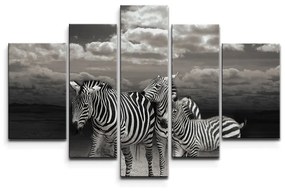 Sablio Obraz - 5-dílný Zebry u vody: 125x90 cm