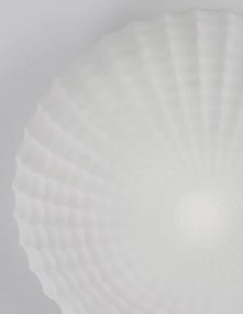 Designové stropní svítidlo Clam 30 bílé